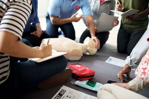 Intercept Training | RTO Central Coast NSW | Job Ready Courses